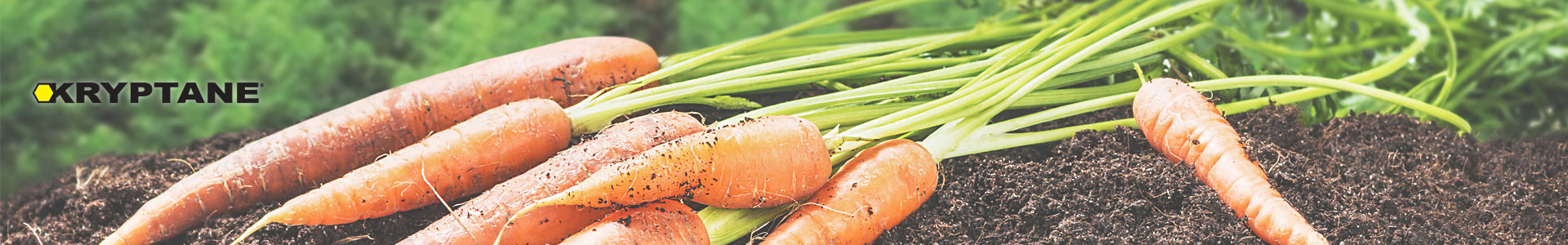 Idler rollers in polyurethane or rubber - Kryptane