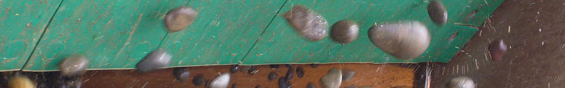 Modular Polyurethane Liners and Panels - Argonics